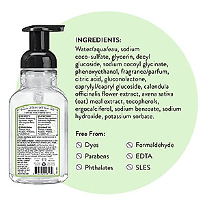 J.R. Watkins Foaming Hand Soap Pump with Dispenser, Moisturizing All Natural Hand Soap Foam, Alcohol-Free, Cruelty-Free, USA Made, Use as Kitchen or Bathroom Soap, Aloe & Green Tea, 9 fl oz, 6 Pack