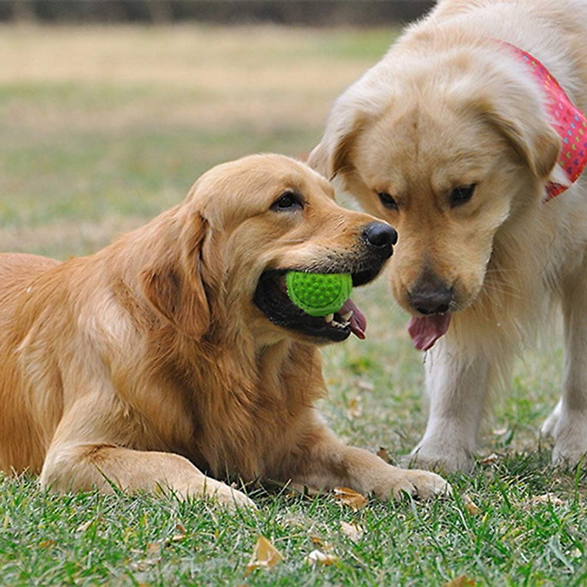 Ball Toy Molar Ball Tooth Grinding Toy Rubber Chew Toy for Pet Dog (Size L 7.5cm)