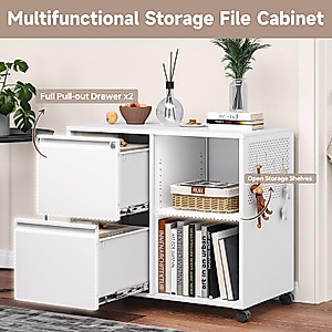 AFAIF Lateral File Cabinet, 2 Drawer File Cabinet with Lock, Printer Stand with Storage, Metal Mobile Filing Cabinet Home Office Organization Furniture for Letter/A4 Size Files