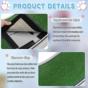 Cat Wheels for Indoor Cats, 31.5'' Cat Exercise Wheel, Cat Wheel with Brake, Removable Running Mat, Easy to Install,Cat Wheel Exerciser for Cat's Fitness & Health,Suitable for Most Cats (Blue)