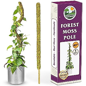 DUSPRO 42 Inch Tall Moss Pole for Plant Monstera Bendable Plant Stakes, Sphagnum Real Forest Moss Stick, Handmade Potted Plants Support/Trellis Perfect for Big Climbing Plants Indoor (Large Size)