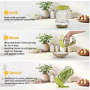 Luckyiren Sprouting Lid, Plastic Mesh Screen Cover Cap with Draining Stand, Germination Kit Sprouter Maker for Wide Mouth Mason Jars, Grow Bean Sprouts, Broccoli Seeds, Alfalfa, Salad Greens