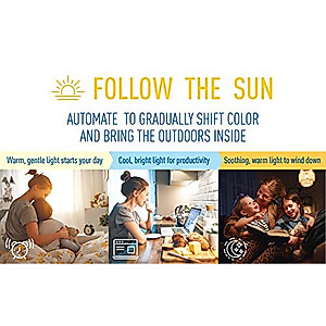 Cree Lighting Connected Max Smart Led Bulb A19 60W Tunable White + Color Changing, 2.4 Ghz, Works With Alexa And Google Home, No Hub Required, Bluetooth + Wifi, 1Pk