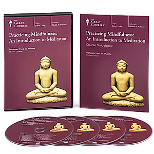 Practicing Mindfulness: An Introduction to Meditation