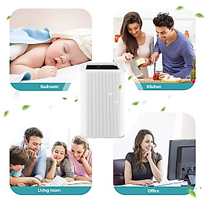 Blue Pure 121 Relacement Filter, Compatible with Blueair Blue Pure 121 Air Purifier, Particle and Activated Carbon Filter Captures Bacteria, Odors, Smoke, Dust