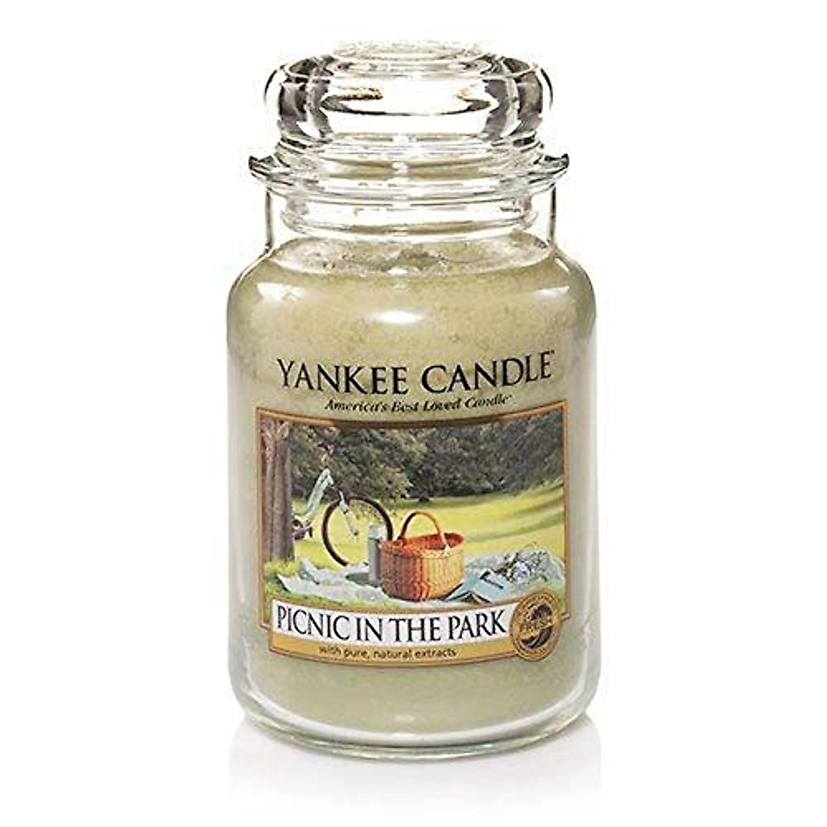 Yankee Candle Large 22 oz Jar Candle Picnic in the Park
