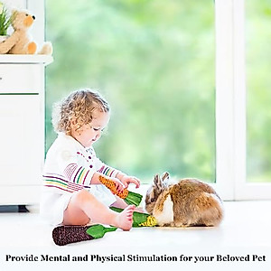 SunGrow Natural Veggie Chew Toys for Rabbits, 5.2 Inches, Woven with 100% Organic Material, Stimulate Your Bunny Rabbits, Bright, Entertaining and Safe for Chewing, 3 Pieces