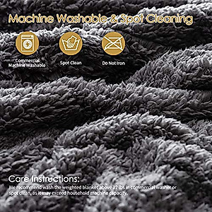 Mr. Sandman Shaggy Faux Fur Weighted Blanket 15 lbs for Adult, Luxury Long Fur and Warm Soft Sherpa Heavy Blanket Throw for Twin/Full Size Bed, Couch, Sofa - 48"×72", Modern Grey