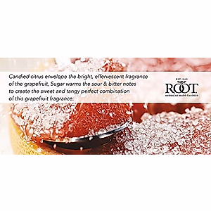 Root Candles Honeycomb Beeswax Blend Scented Candle, 12-Ounce, Sugared Grapefruit