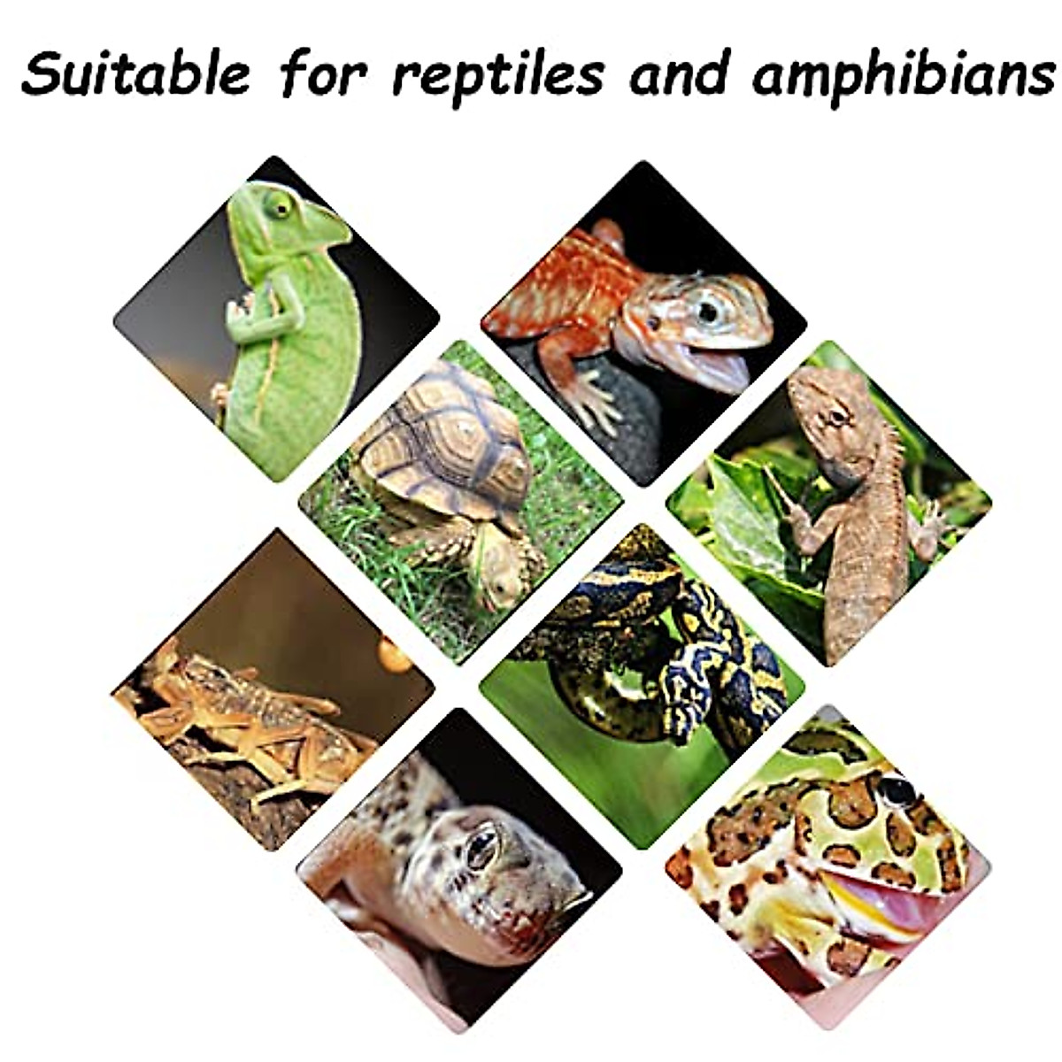 Hamiledyi Reptile Hideout Wooden Bridge Hiding Hut 4Pack Bearded Dragon Hide Caves Lizard Habitat Accessories for Iguana, Tortoise, Gecko, Chameleon, Snake, Frog, Amphibia