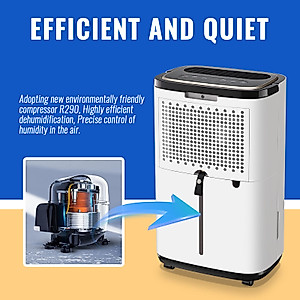 WANAI 30 Pints Dehumidifier for Basements with Drain Hose, 2500 Sq.Ft Dehumidifiers Auto Drain or Manual Drainage, Small Dehumidifier for Home Bedroom Bathroom with 2.2L Water Tank, 3 Modes, 24Timer