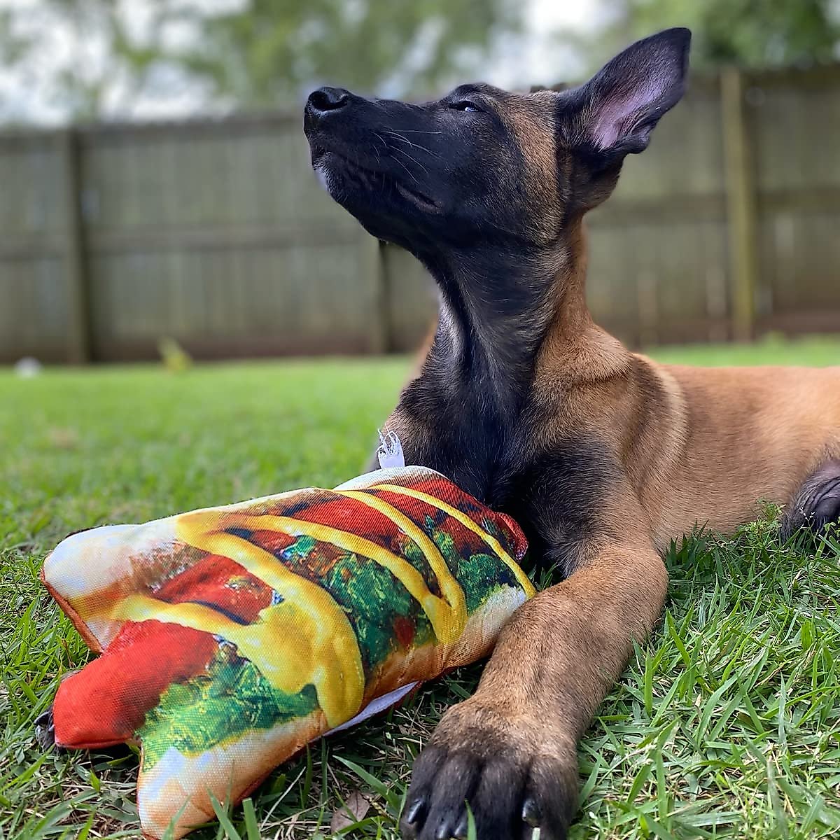 Doggijuana | Refillable Catnip Dog Toy | Naturally Calming | Catnip Grown in The USA (Hot Dog)