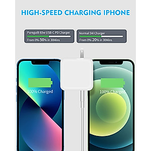 65W USB C Charger,Type C GaN III PD 3.0 Wall Charger Fast Charging for iPhone 15/14/13,MacBook Pro/Air, iPad Pro/Air,Samsung Galaxy S22/S21,Pixel,Switch and Android Series,6.6ft USB C to C Cable