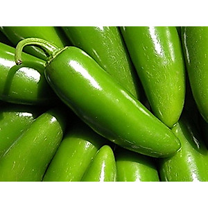 Giant Jalapeno Pepper Seeds Huge PODS Great Stuffers MILD (25 Seeds)