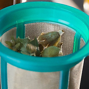 Finum Goldton Reusable Stainless Steel Coffee and Tea Infusing Mesh Brewing Basket and Filters, Set of 2 Medium Sized Filters, Blue and Green