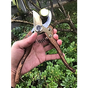 Horsvill Garden Shears, Japanese Floral branch cutters, Snips for Gardening, Flower scissors Florist clippers, Hand Held Pruners for Gardening Heavy Duty, Pruning shears for garden (Wood grain)