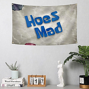 WSINO Hoes Mad Flag 3x5Ft Funny Meme Tapestry for College Dorm Room Guys Man Cave Frat Bedroom Art Deco