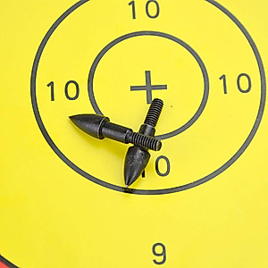ZSHJGJR 24pcs Archery Target Field Points 75 Grain Screw in Bullet Points Hunting Arrowheads Arrow Tips for Target Hunting Shooting Practice