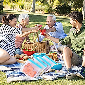 Reusable Food Storage Bags- 10 Pack Leakproof Reusable Freezer Bags (3 Reusable Gallon Bags +4 Reusable Sandwich Bags + 3 Reusable Snack Bags)，Silicone Food Bags for Meat Fruits and Vegetables.