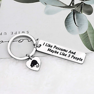 MYOSPARK Opossum Lover Gift I Like Possums And Maybe Like 3 People Opossum Animal Jewelry Opossum Mom Gift (Possums KC)