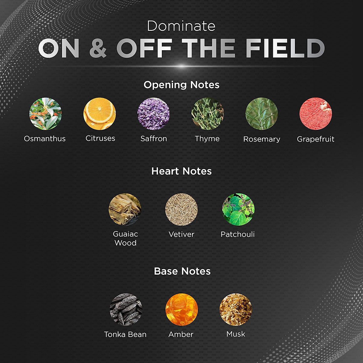 RAYAN Sport Junky Eau de Parfum - 100 mL, Citrus, Oriental, Amber Scent, Unisex, Travel Size