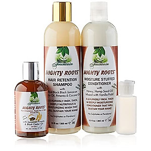 Fountain Mighty Roots Hair Retention System with Jamaican Pimento and Black Castor Oil