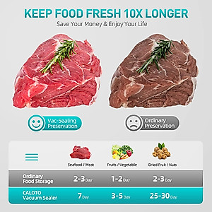 Vacuum Sealer Machine - Food-Vacuum-Sealer Automatic Air Sealing System for Food Storage Dry and Wet Food Modes LED Indicator Compact Design 11.8 Inch with 15Pcs Seal Bags Starter Kit (Silver)