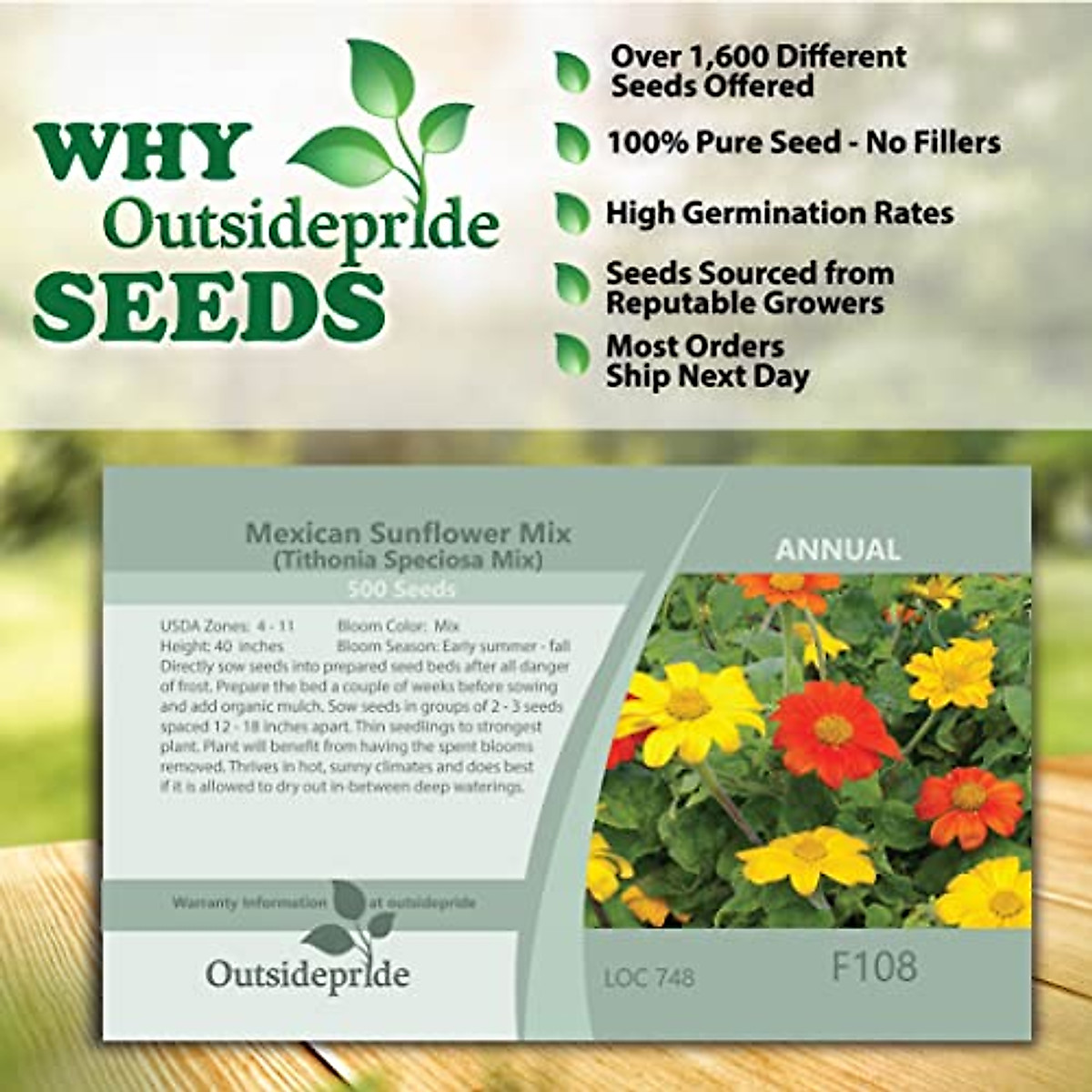 Outsidepride Orange Tithonia Mexican Sunflower Garden Cut Flowers & Climbing, Vining Plant Mix - 500 Seeds