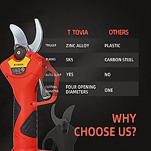 Cordless Pruning Shears, Electric Pruner with 2 Pack 21V Lithium Battery, SK5 Blades, 1.2 Inch Cutting Diameter (21V pruner)