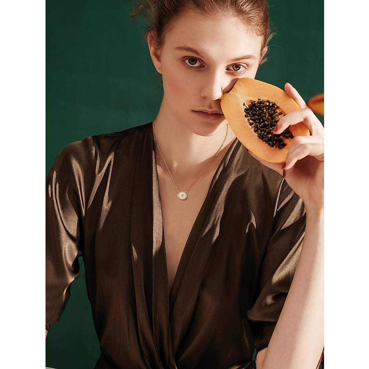 Gold Zodiac Sign Pendant Necklace, 14K Gold Plated Faux Fritillaria Cubic Zirconia 12 Constellation Necklace Jewelry Birthday Gifts for Women, (Pisces Feb 19-Mar 20)