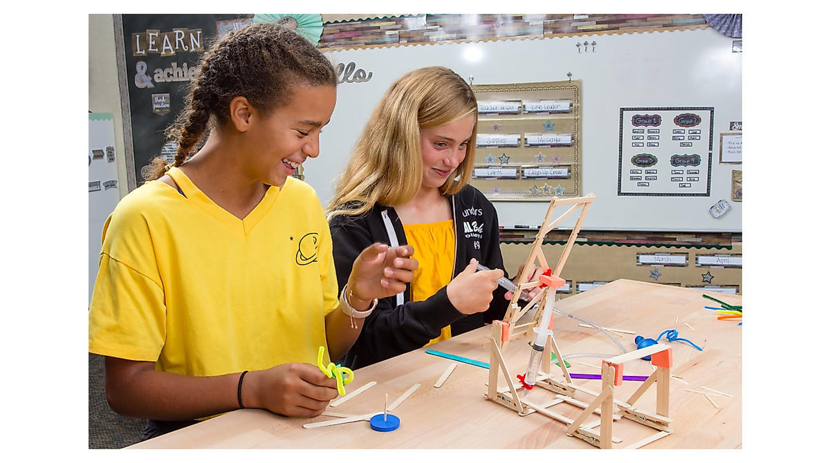 Buy STEM Craft Sticks 500 Count for Creative Learning | Teacher Created ...