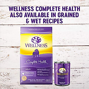 Wellness Complete Health Grain-Free Dry Dog Food, Natural Ingredients, Made in USA with Real Meat, For All Lifestages (Chicken, 24-Pound Bag)