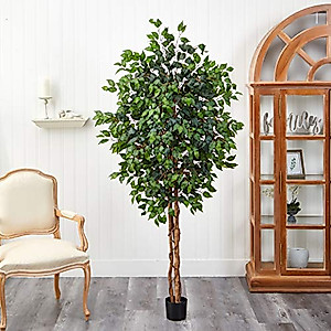 Nearly Natural 6ft. Ficus Artificial Trees, 72in, Green