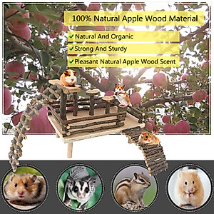 RoseFlower Hamster Playground Wooden Small Animal Activity Toys Set with Wood Ramp Bridge and Climbing Ladder - Platform Cage Toys for Syrian Hamster Mouse Gerbil Chinchilla Rat #2