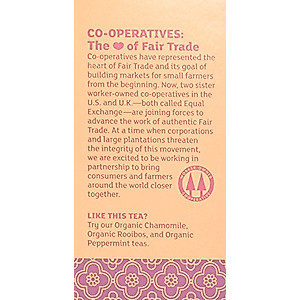 Equal Exchange Organic Vanilla Rooibos Tea, 20-Count (Pack of 3)