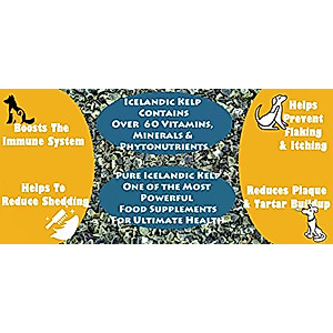 Icelandic Kelp Meal, 5lbs