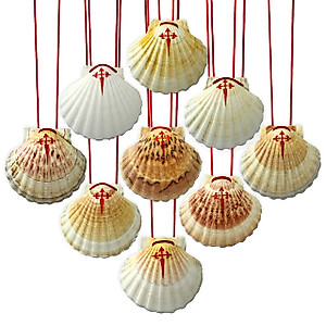 JB Scallop Shell Way of St. James