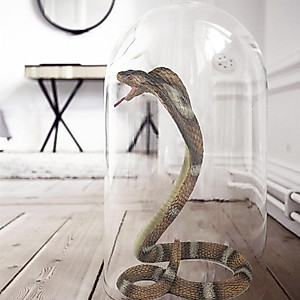 Gemini&Genius King Cobra Figurine Toy- Safari Animal Toys, Fake Snake Action Figures, Scary Snake Toy-6.5 Inches Height, or Garden Decor Scare Birds