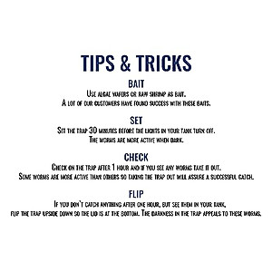 Bristle Worm Trap with Window (Black)