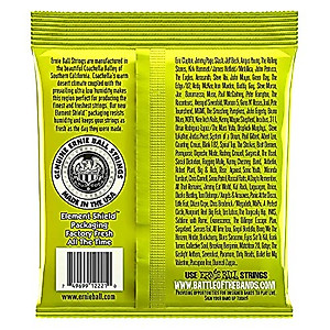 Ernie Ball 2221 Nickel Regular Slinky Electric Guitar Strings 3 Pack