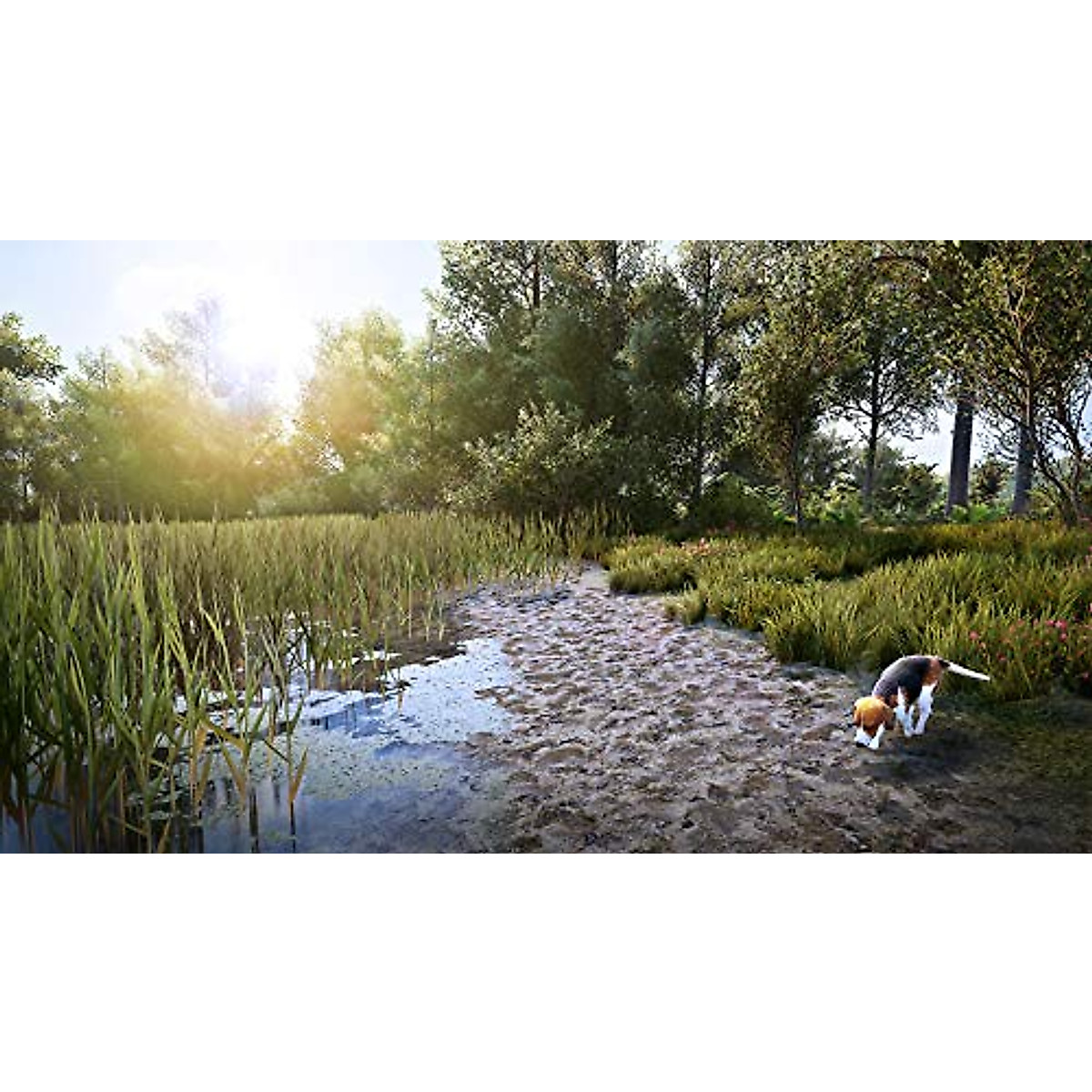 Hunting Simulator 2 - PlayStation 4 (PS4)