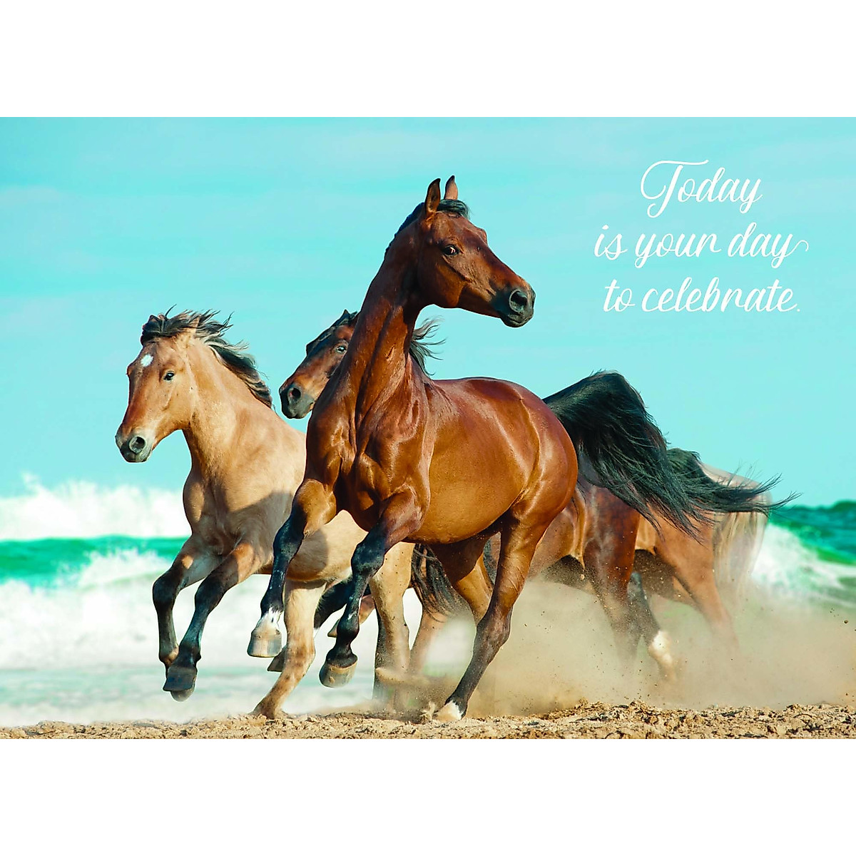 CPG Card-Boxed-Shared Blessings-Birthday Wild Horses (Box of 12)