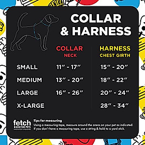 Friends the TV Show Iconic Graphics Dog Collar for Medium Dogs, Medium (M) | Black Medium Dog Collar, Cute Dog Collar with D-Ring | Dog Apparel & Accessories Friends Merch for Dogs from Friends