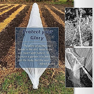 LANEVAN Greenhouse Hoops for 2-4ft Wide Raised Beds, 6.56ft Long Super Bendable Fiberglass Garden Hoops, Weather Resistant Grow Tunnel Support Hoops Frame for Plant Row Cover, 6 Pcs