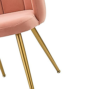 HULALA HOME Velvet Accent Chairs Modern Vanity Chairs for Makeup Room, Comfy Upholstered Dining Chairs for Living Room with Shell Back and Golden Metal Legs/Pink