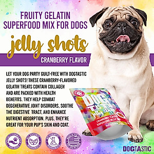 SodaPup Dogtastic Jelly Shots – Cranberry Flavored, Fruity Gelatin Mix Superfood Dog Treat Made in USA, Packed with Collagen and Health Benefits for Digestion, Gut, Joints, Skin, Fur, & Coat – 4.7oz