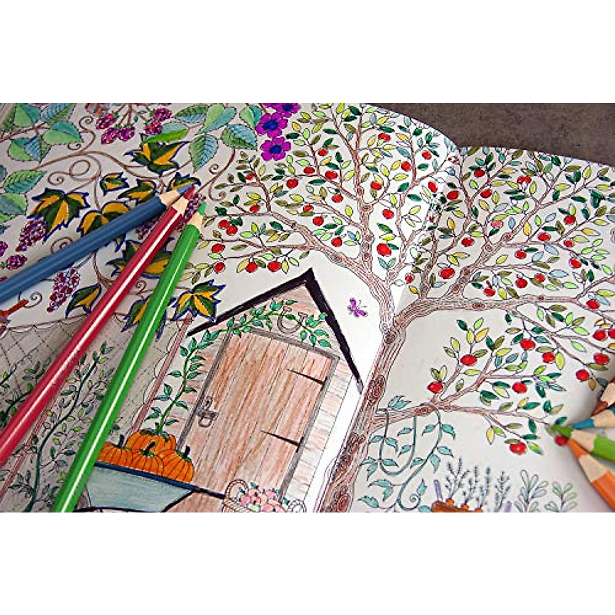 ARTEZA Colored Pencils for Adult Coloring, 48 Colors, Soft Drawing Pencils, Highly-Pigmented, Wax-Based Core, Professional Art Supplies for Artists, Pencil Set for Adults and Teens