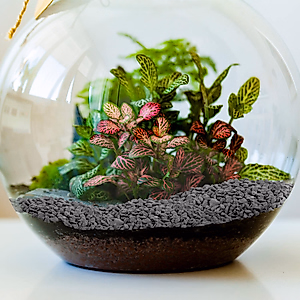 Mr. Fireglass Natural Decorative Gray Bean Pebbles 1/5" Crushed Gravel Stone for Decorating Garden, Succulent Plants and Walkway (2-lb Bag)