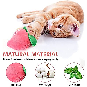 AZOFFYIU Cat Toys, Interactive Cat Toy for Indoor Cats, Soft and Durable Crinkle Sound Catnip Toys, Catnip Filled Mouse Cat Teething Chew Toy (Pack of 12)