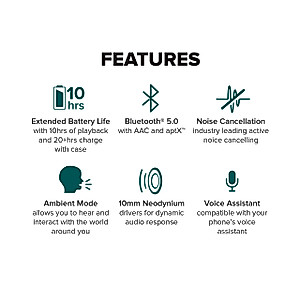 Cleer Audio Ally Plus, True Wireless Hybrid Noise Cancelling Earbuds with 30 Hour Battery, Water Resistant, Music & Calls (Warm Grey)